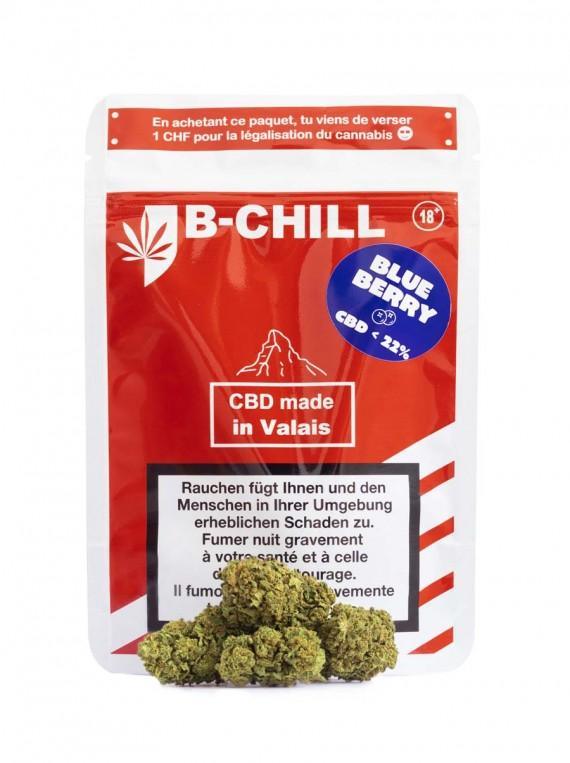 Blueberry Greenhouse - B-Chill – CBD Discounter